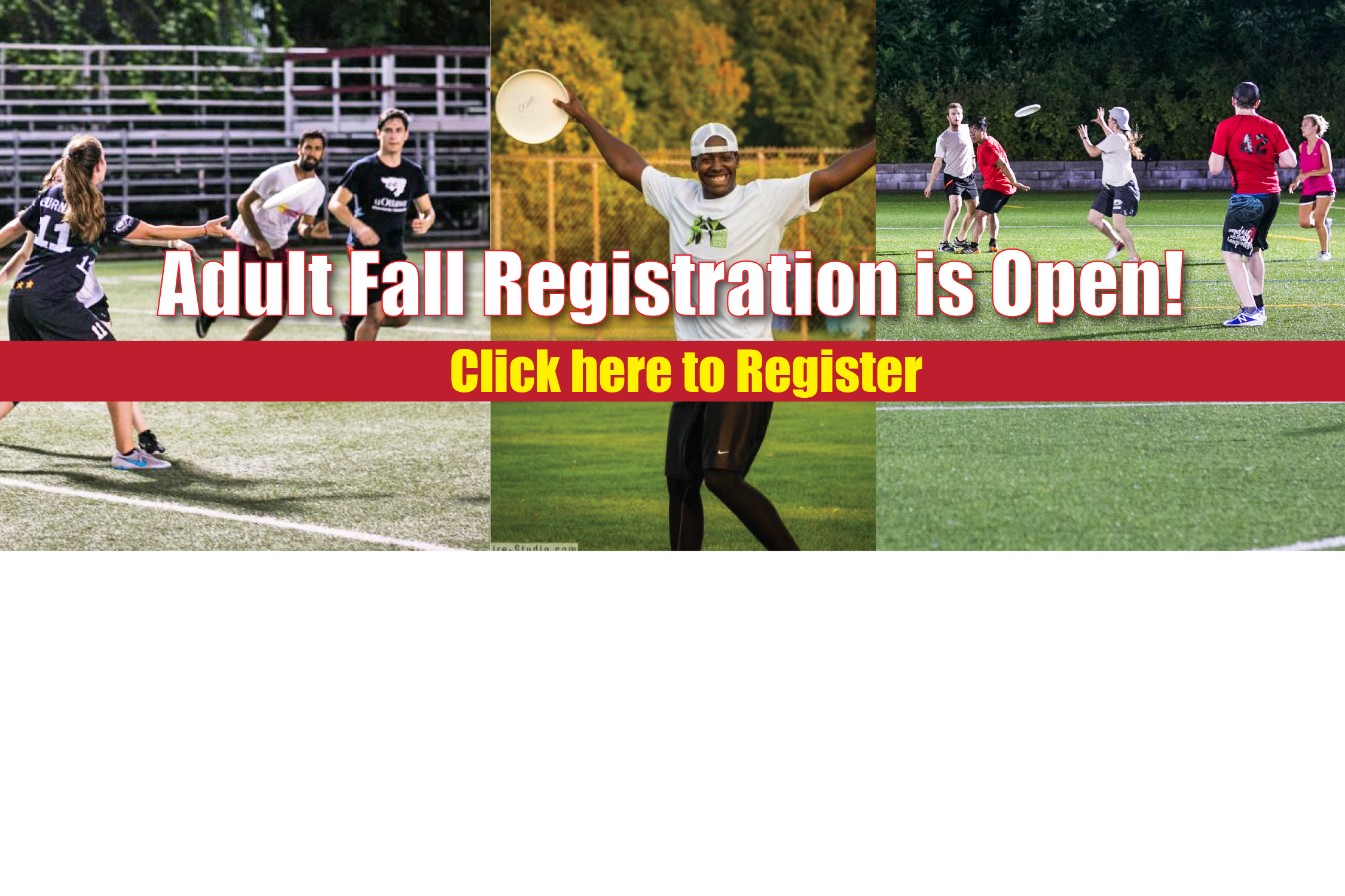 OCUA | Ottawa Carleton Ultimate Association